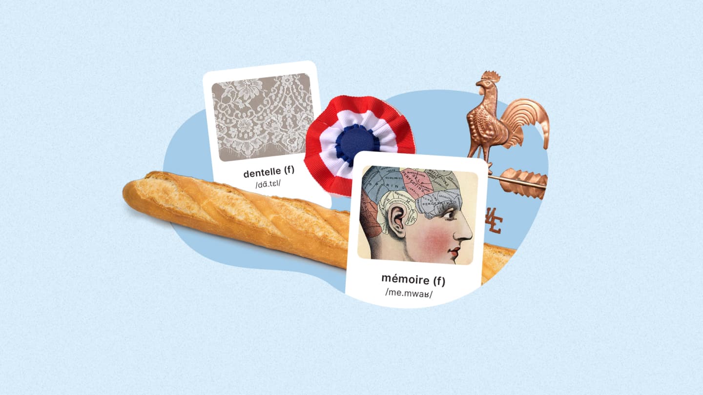 10 Best French Flashcard Decks for 2024: Elevate Your Learning! - Noji